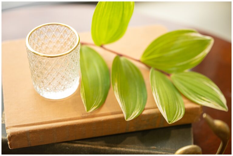 Drue + Greg | WV Botanic Garden | Amberlee Christey Photography